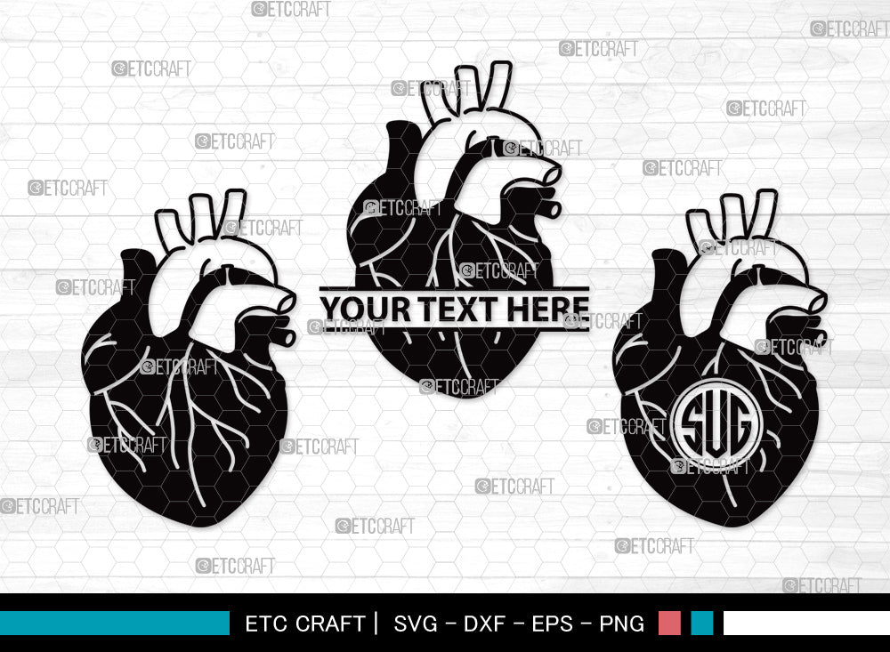 Human Heart Monogram SVG | Heart Svg | Realistic Heart Svg | Anatomical ...