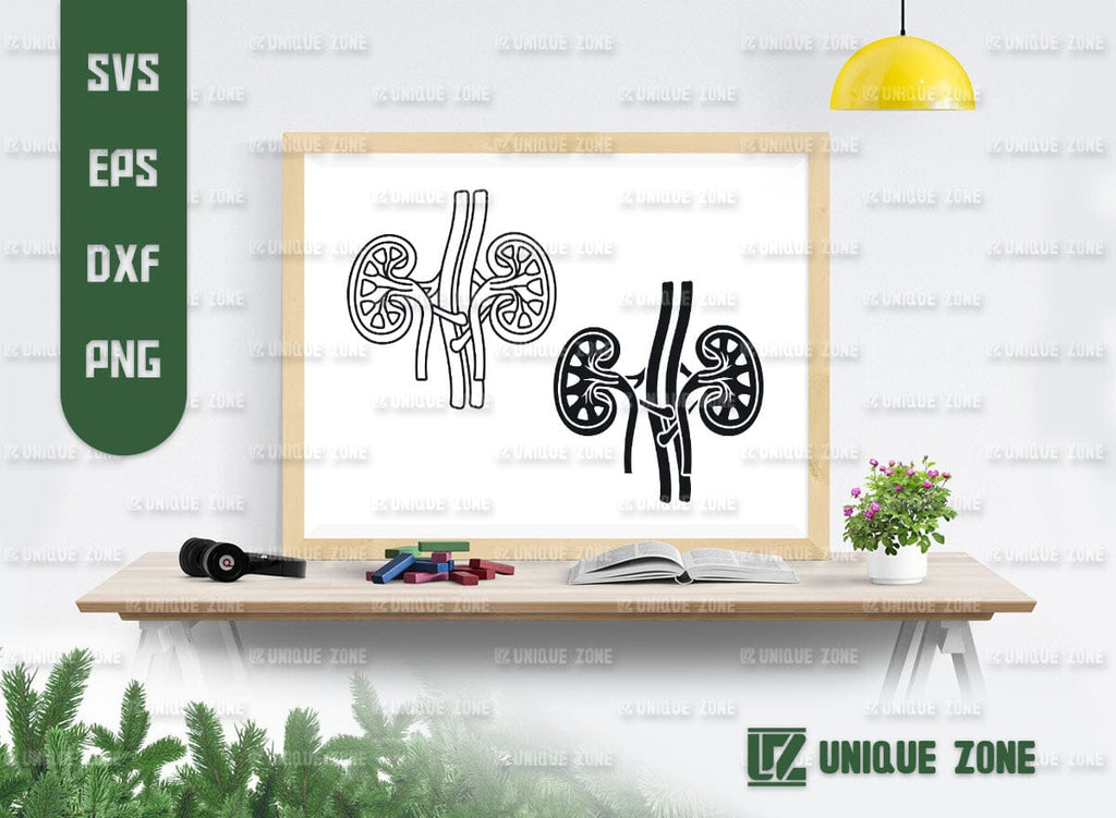 Human Kidney SVG Bundle, Kidney Silhouette, Kidney Anatomy Svg, Urinary ...