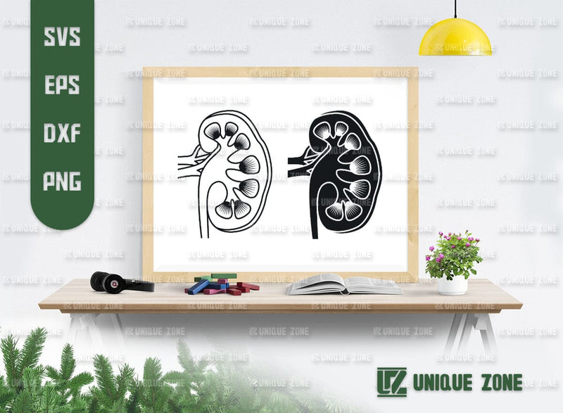Human Kidney SVG Bundle, Kidney Silhouette, Kidney Anatomy Svg, Urinary ...