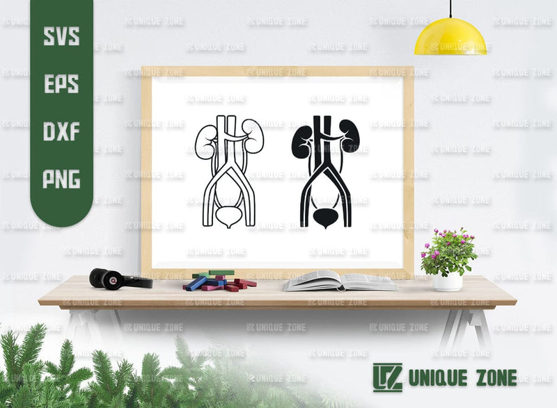 Human Kidney SVG Bundle, Kidney Silhouette, Kidney Anatomy Svg, Urinary ...