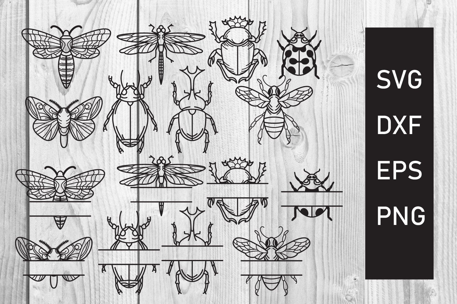insect monogram, insect svg cut file - So Fontsy