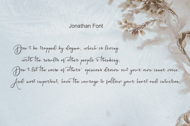 Jonathan - So Fontsy