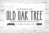 JP Old Oak Tree Font - Farmhouse Font - otf - Open Type Font - Hand Dr ...