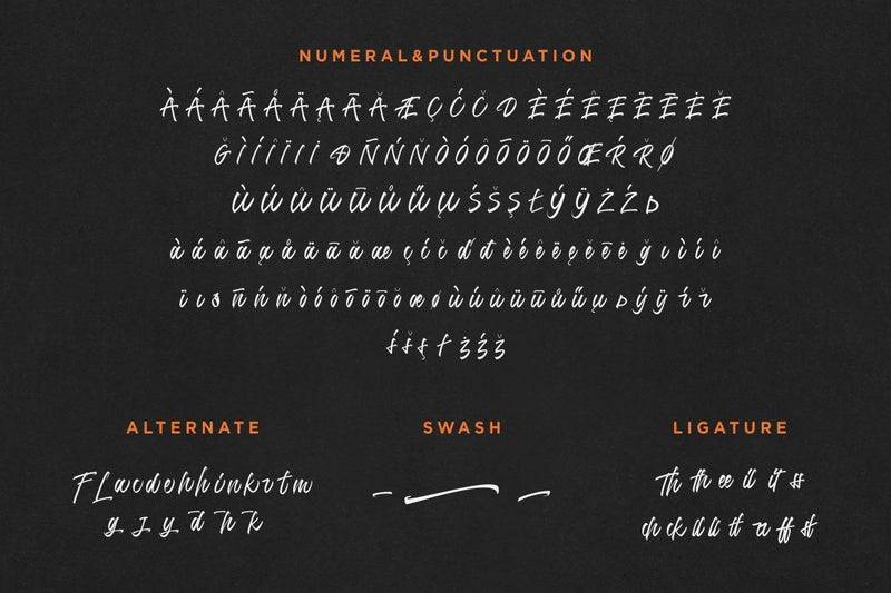 Jumps Steady Script - So Fontsy