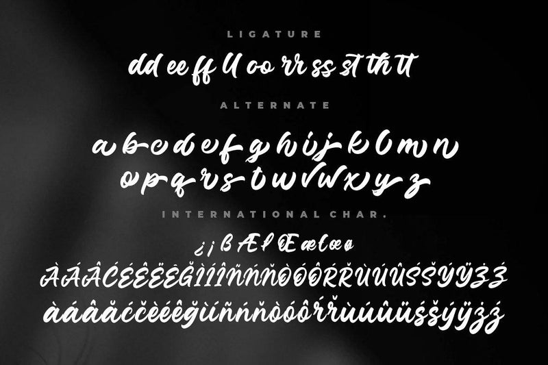 Junkies Style Bold Script - So Fontsy