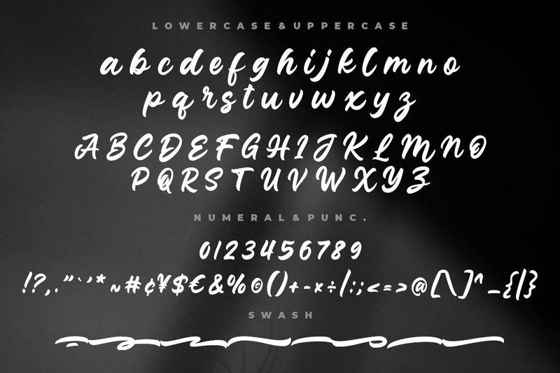 Junkies Style Bold Script - So Fontsy