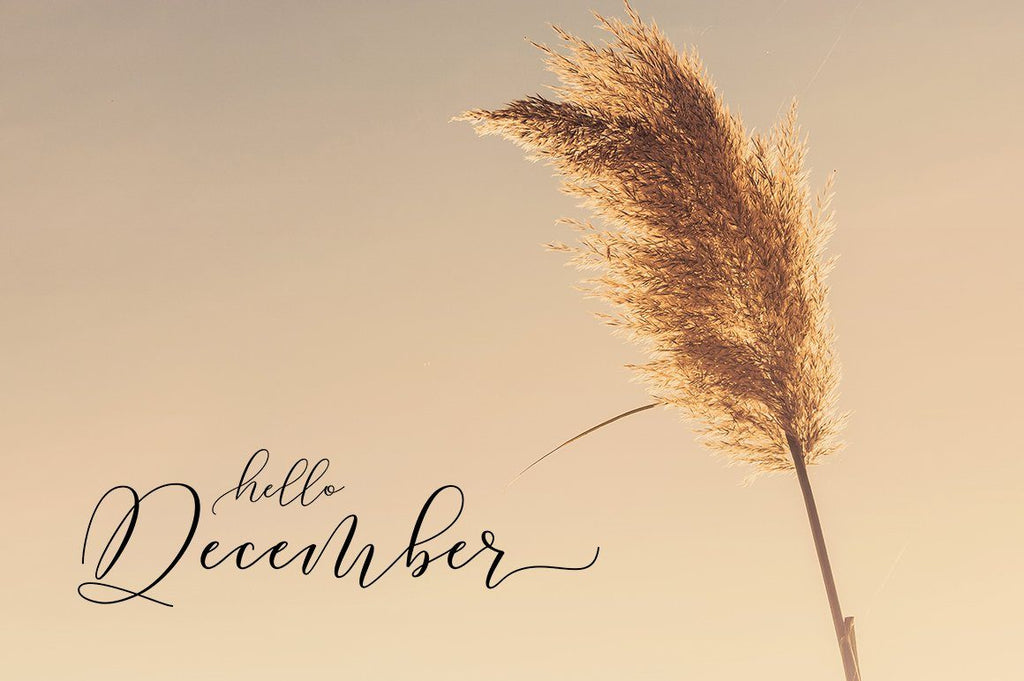 Kamelia Script - So Fontsy