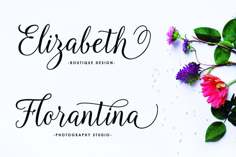 Kasandra Script - So Fontsy