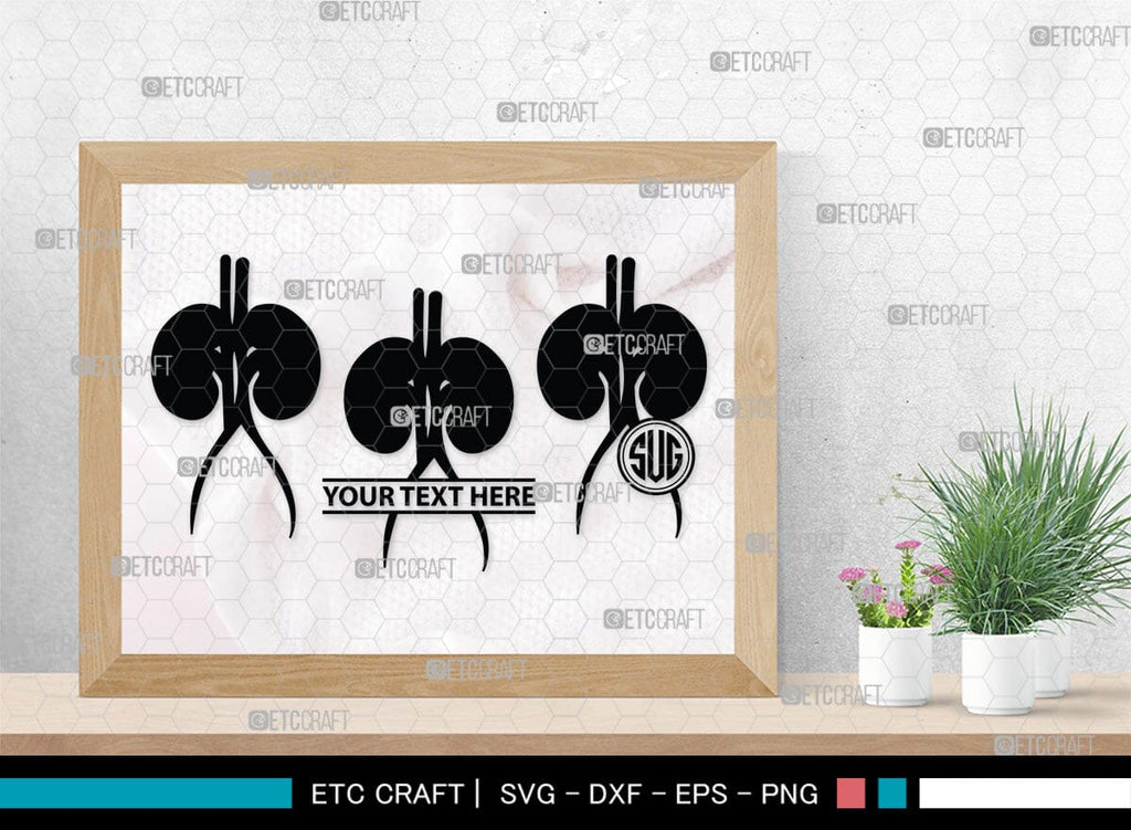 Kidney Monogram, Kidney Silhouette, Kidney SVG, Kidney Anatomy Svg ...
