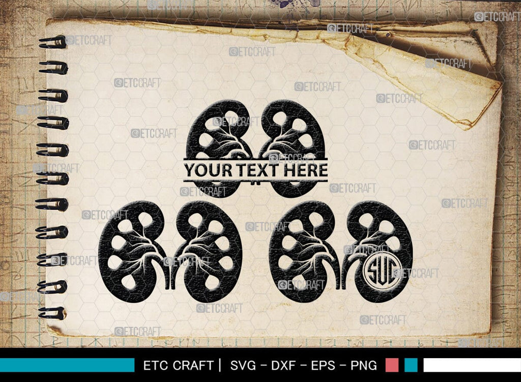 Kidney Monogram, Kidney Silhouette, Kidney SVG, Kidney Anatomy Svg ...