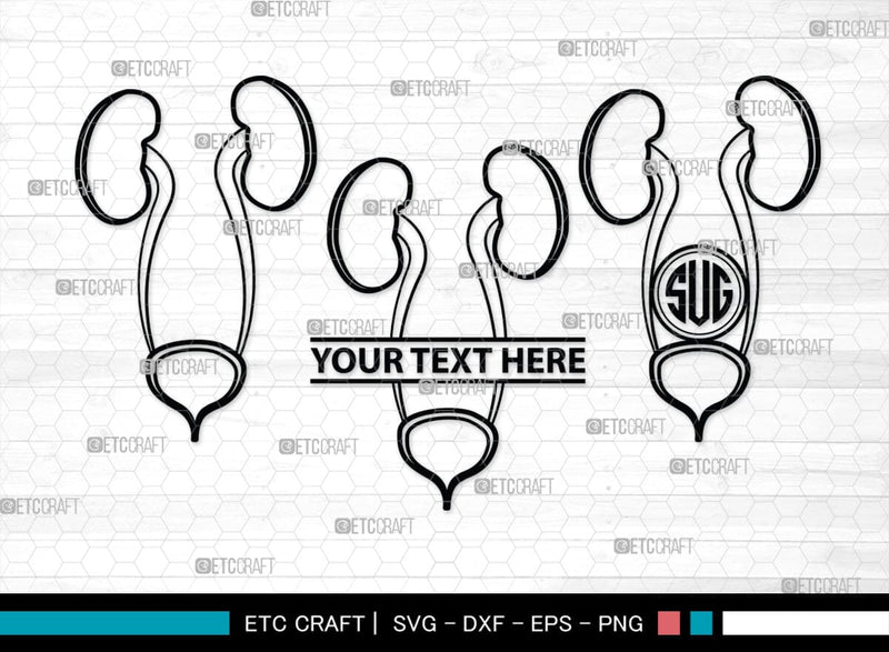 Kidney Monogram, Kidney Silhouette, Kidney SVG, Kidney Anatomy Svg ...