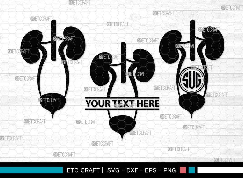 Kidney Monogram, Kidney Silhouette, Kidney SVG, Kidney Anatomy Svg ...