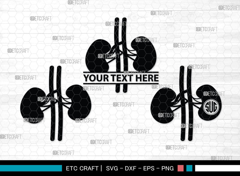 Kidney Monogram, Kidney Silhouette, Kidney SVG, Kidney Anatomy Svg ...