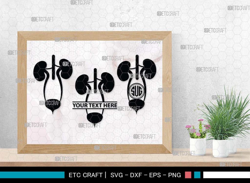 Kidney Monogram, Kidney Silhouette, Kidney SVG, Kidney Anatomy Svg ...