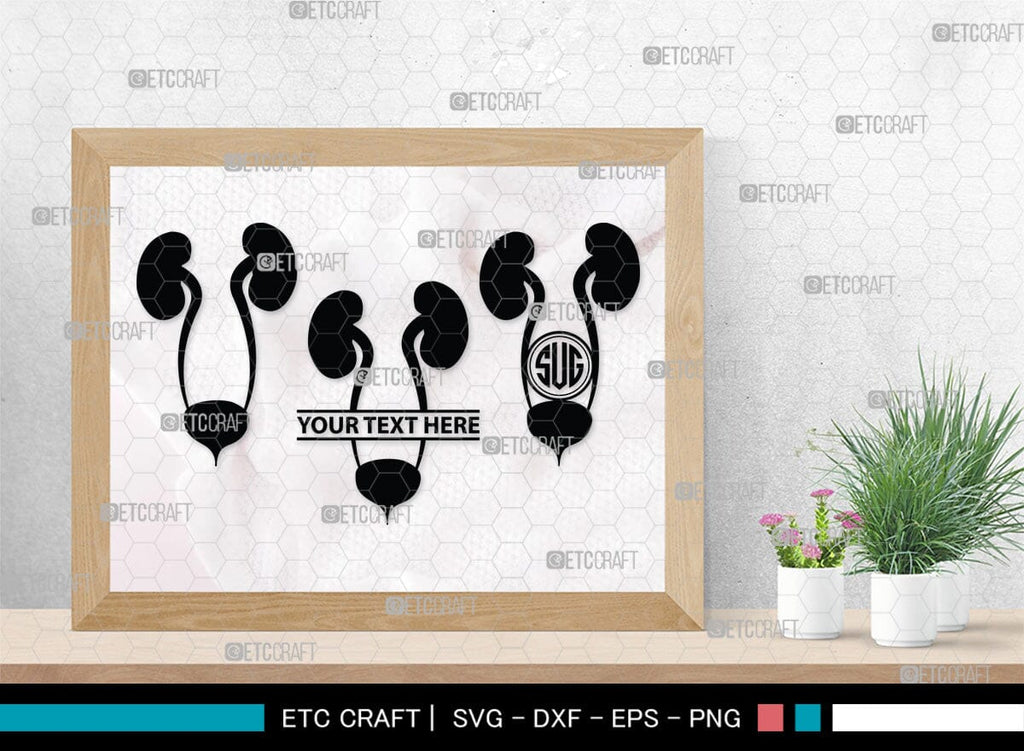 Kidney Monogram, Kidney Silhouette, Kidney SVG, Kidney Anatomy Svg ...