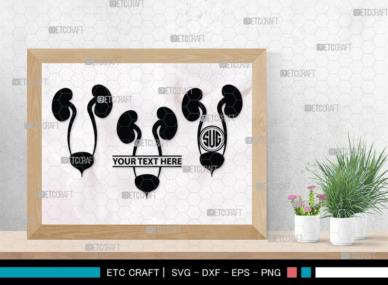 Kidney Monogram, Kidney Silhouette, Kidney SVG, Kidney Anatomy Svg ...