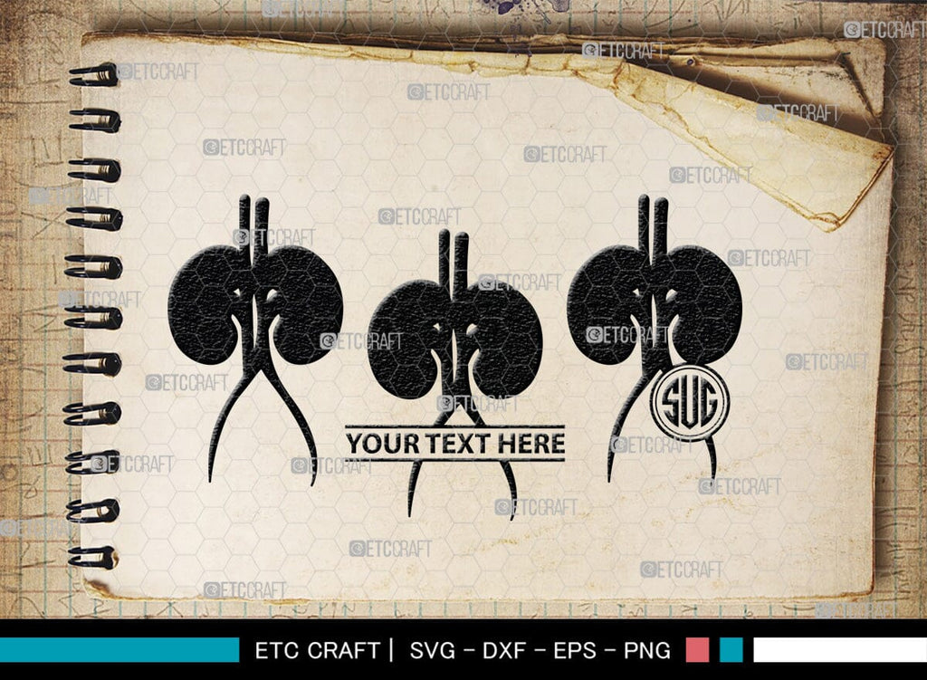 Kidney Monogram, Kidney Silhouette, Kidney SVG, Kidney Anatomy Svg ...
