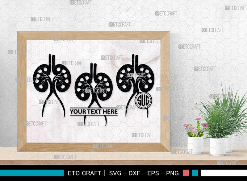 Kidney Monogram, Kidney Silhouette, Kidney SVG, Kidney Anatomy Svg ...