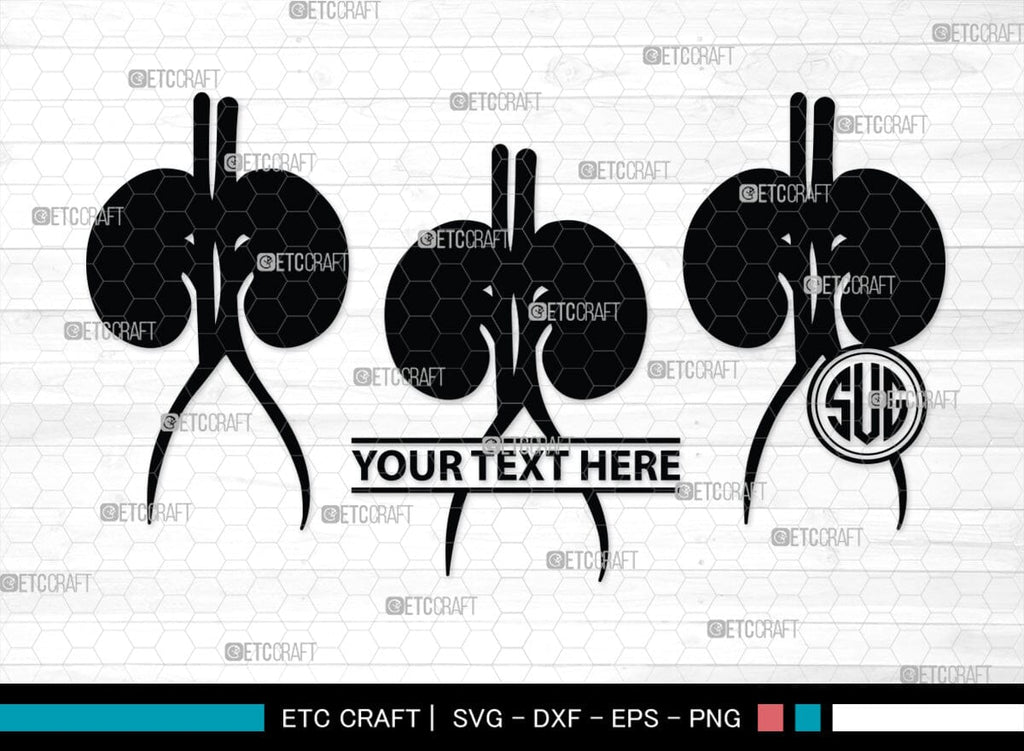 Kidney Monogram, Kidney Silhouette, Kidney SVG, Kidney Anatomy Svg ...