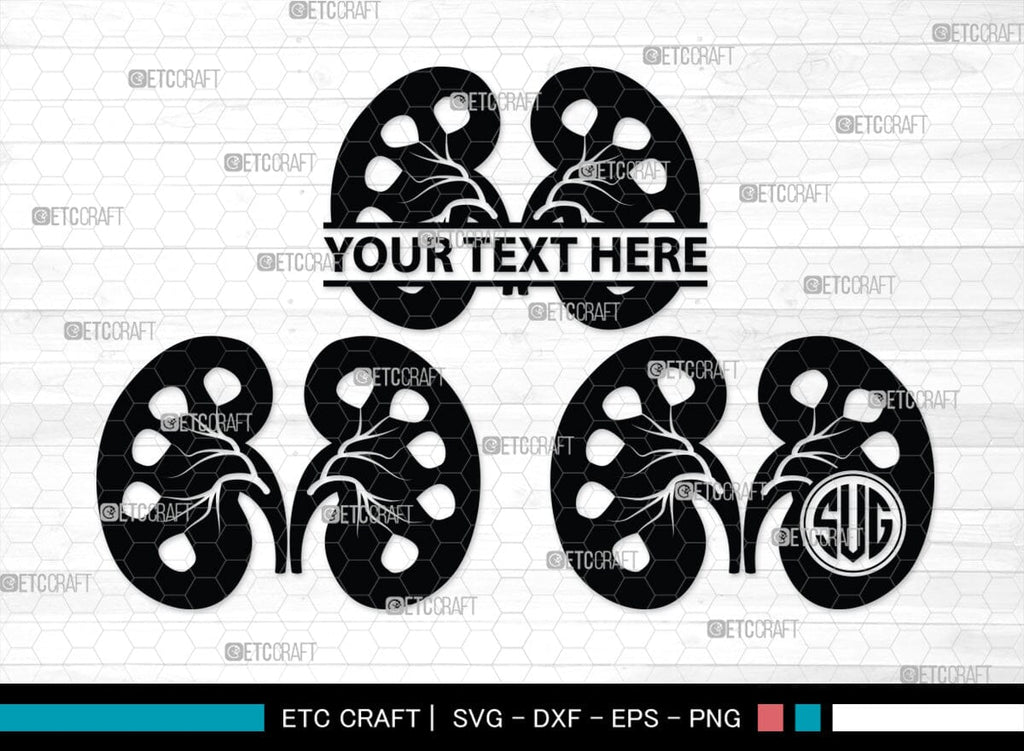 Kidney Monogram, Kidney Silhouette, Kidney SVG, Kidney Anatomy Svg ...