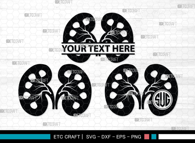 Kidney Monogram, Kidney Silhouette, Kidney SVG, Kidney Anatomy Svg ...