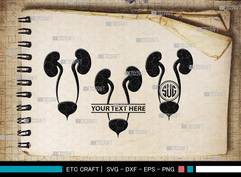 Kidney Monogram, Kidney Silhouette, Kidney SVG, Kidney Anatomy Svg ...