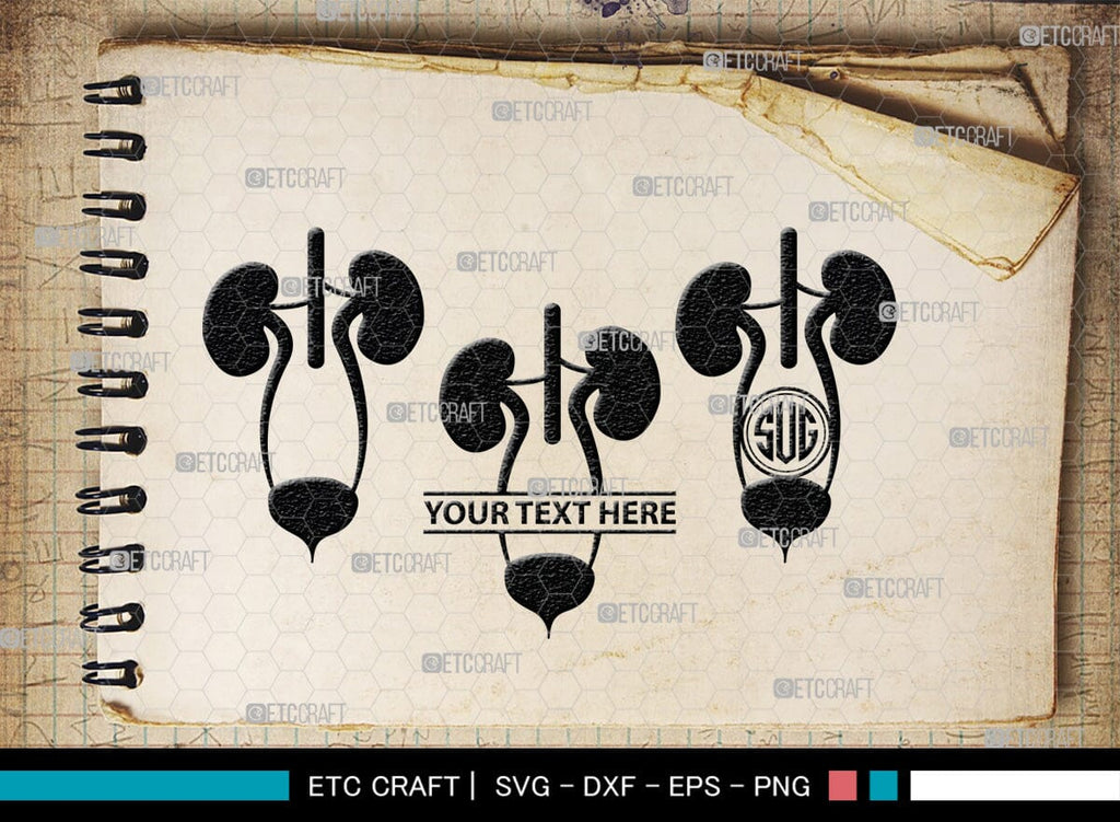 Kidney Monogram, Kidney Silhouette, Kidney SVG, Kidney Anatomy Svg ...