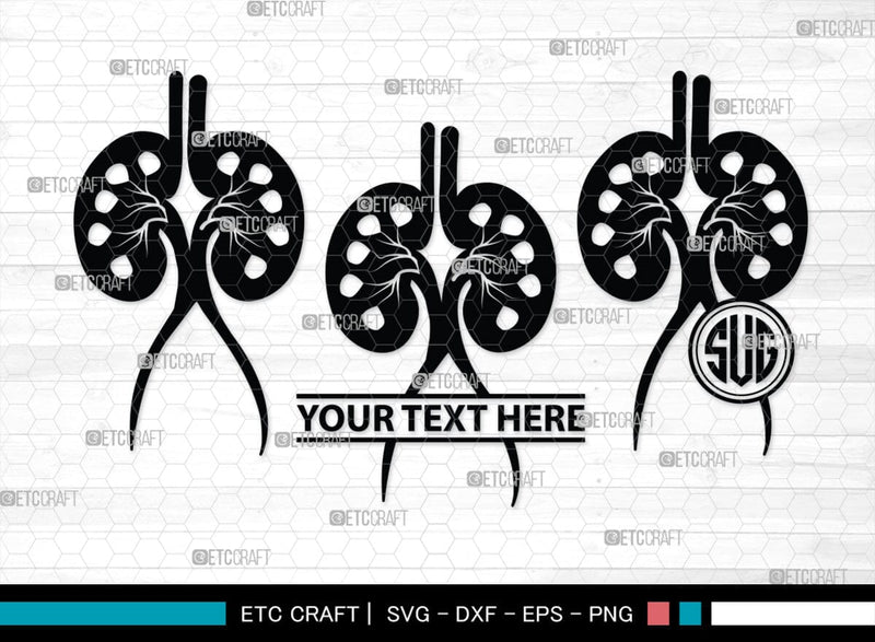 Kidney Monogram, Kidney Silhouette, Kidney SVG, Kidney Anatomy Svg ...