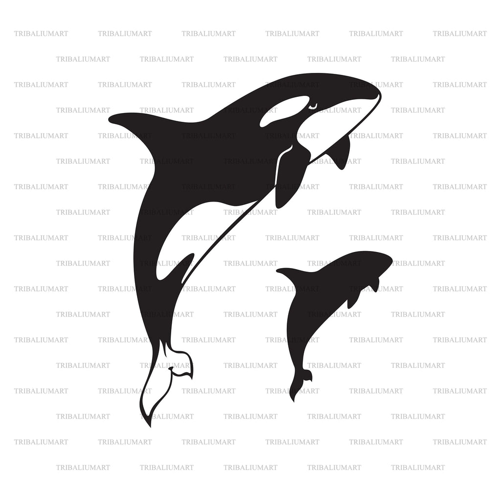 Killer Whale jumping. Orcinus Orca. Cut files for Cricut. Clip Art ...