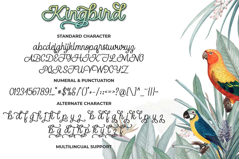 Kingbird - So Fontsy