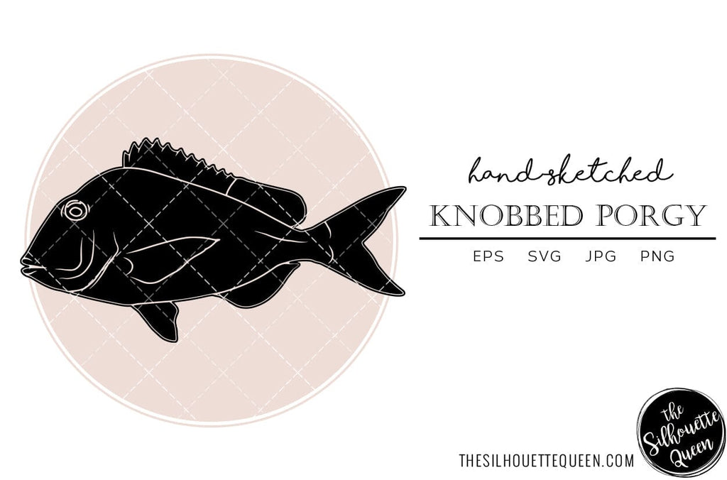 Knobbed Porgy Hand sketched, hand drawn vector clipart - So Fontsy