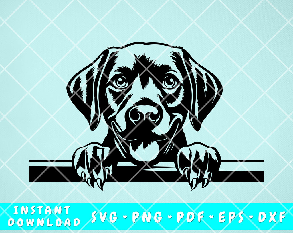 Labrador Peeking SVG, Labrador Cut File For Cricut, Silhouette ...