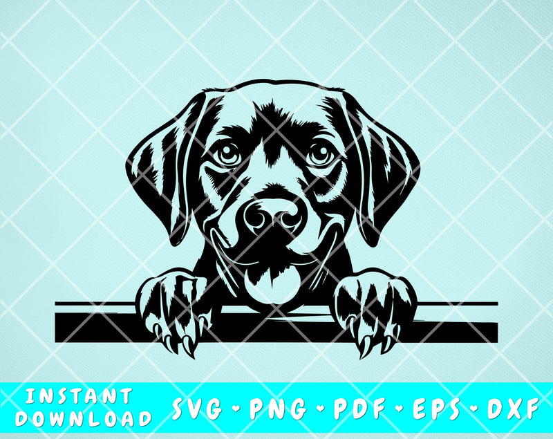 Labrador Peeking SVG, Labrador Cut File For Cricut, Silhouette ...