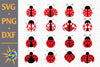 Lady Bug SVG, PNG, DXF Digital Files Include - So Fontsy