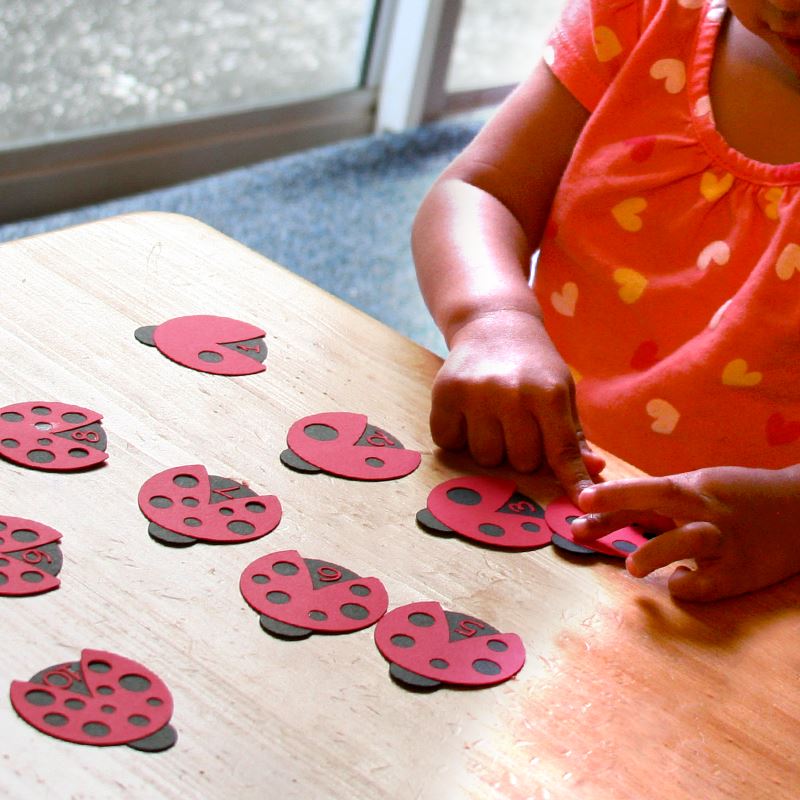 Ladybug Counting Game - So Fontsy