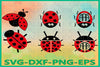 Ladybug Frame Svg - So Fontsy