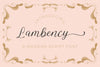 Lambency - a Modern Script Font - So Fontsy