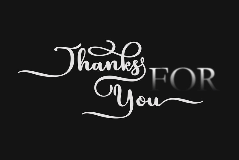 Larisa Script - So Fontsy