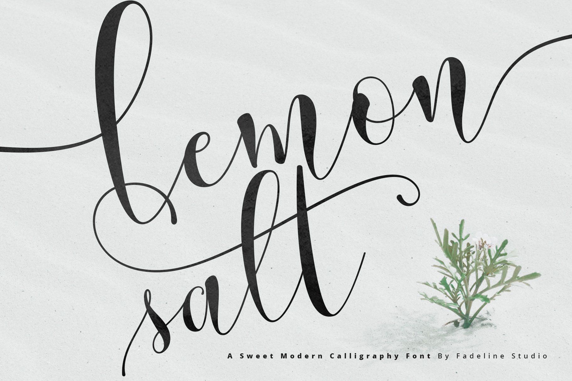 Lemonsalt Sweet Script - So Fontsy
