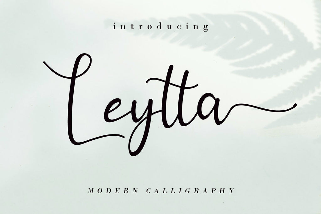 Leytta - So Fontsy