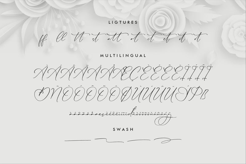 Lillywhite - Beautiful Script - So Fontsy