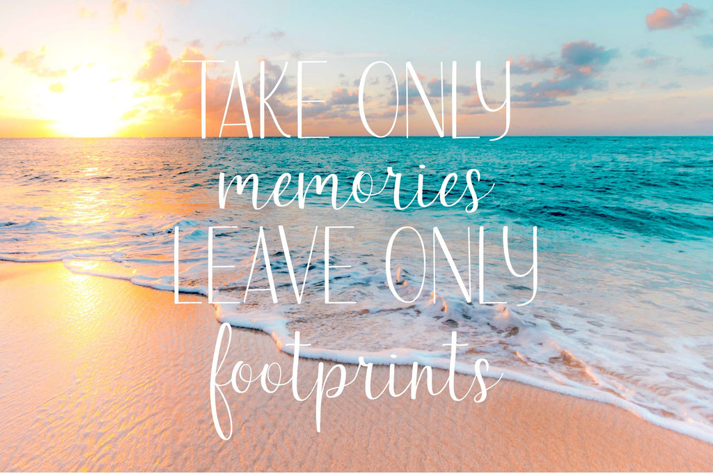 Lily & Bloom - So Fontsy