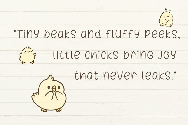 Little Chicken - Cute Handwritten Font - So Fontsy