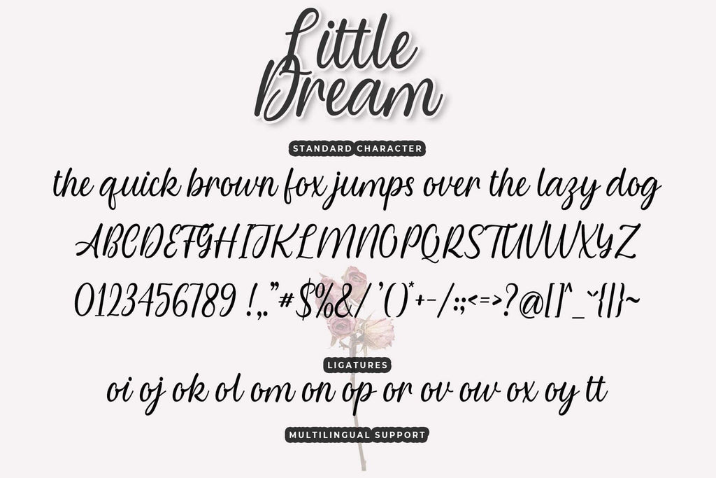 Little Dream - A Natural Script Font - So Fontsy