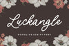 Luckangle Monoline Script Font - So Fontsy