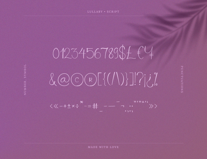 Lullaby Tint Script Font - So Fontsy