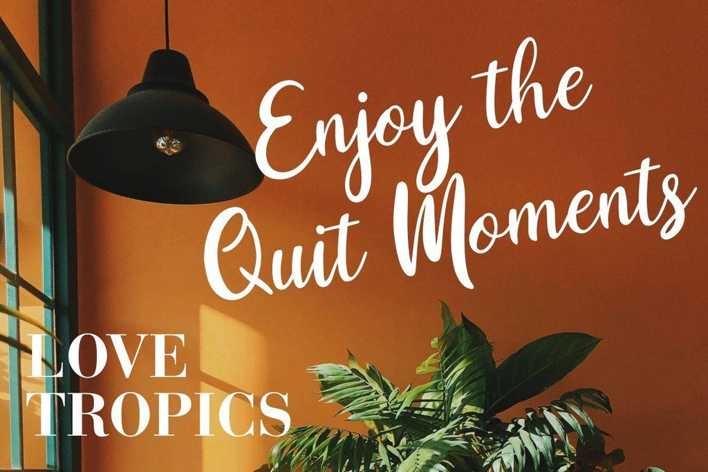 Magdalyn Modern Calligraphy - So Fontsy