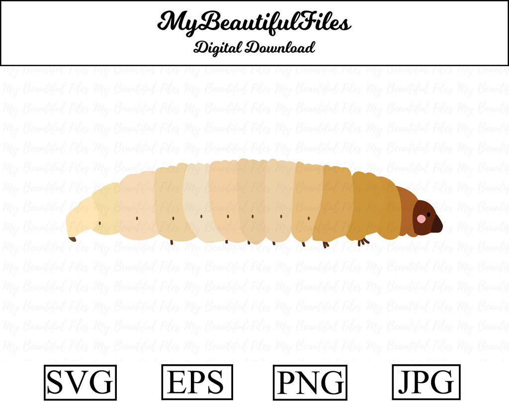 maggot - insect - So Fontsy
