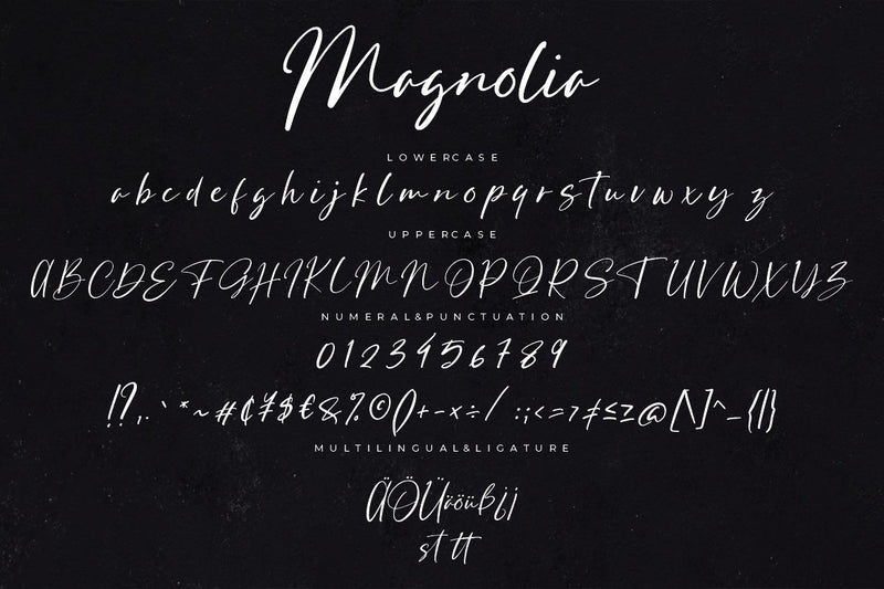 Magnolia Stylish Signature - So Fontsy