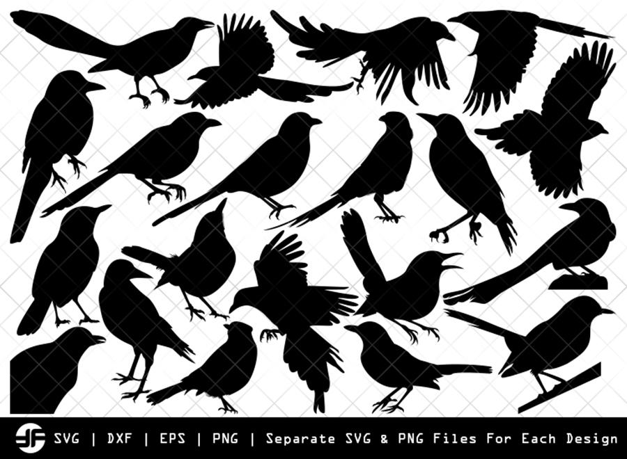 Magpie SVG | Bird Silhouette Bundle | SVG Cut File - So Fontsy